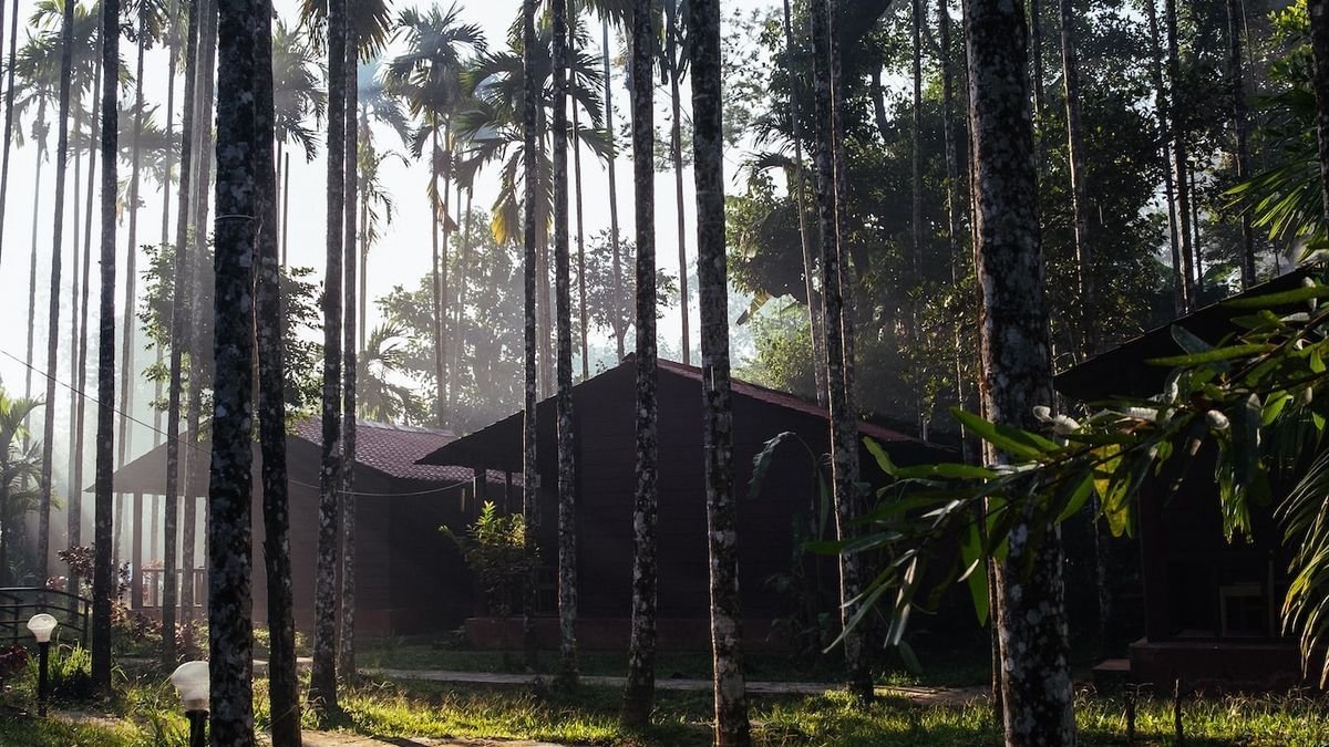 Coorg's Scenic Beauty: Discover 6 Must-Visit Spots In Karnataka » Xplro