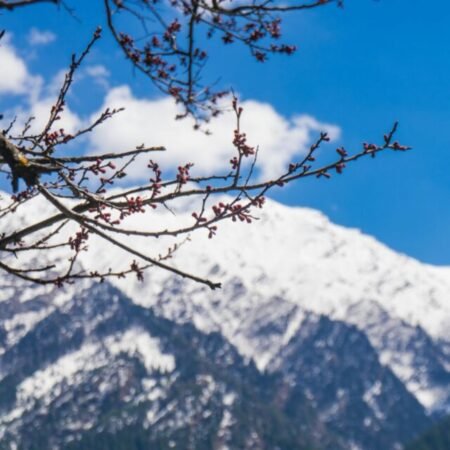 10 Best Places to See Snowfall in Uttarakhand: A Winter Wonderland ...